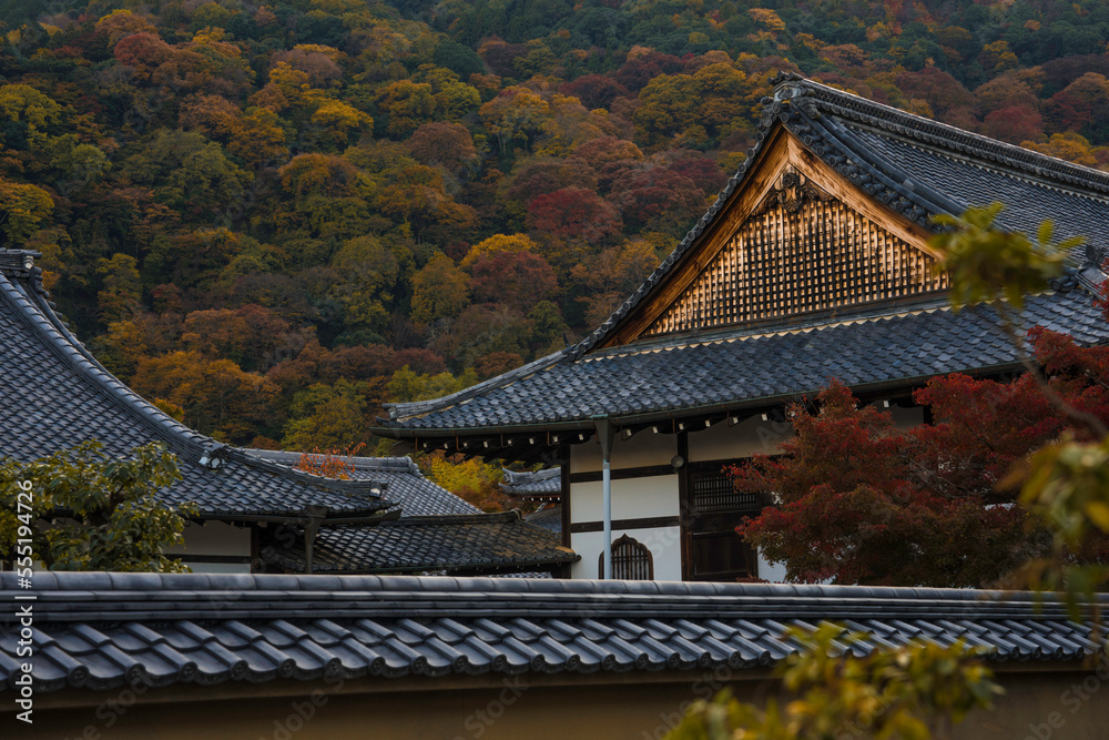This image shows the roof of traditional edo style buildings with a ...