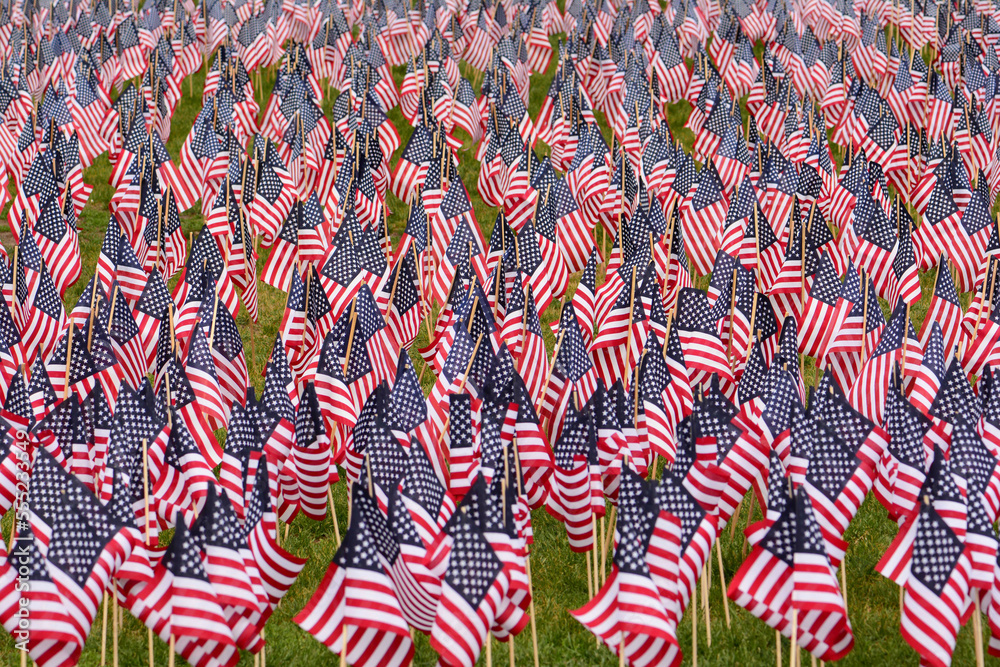 Memorial Day display of 37,000 United States flags commemorating fallen ...