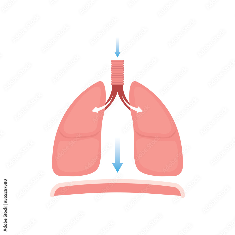 Scientific Designing Inhalation. Colorful Symbols. Vector Illustration ...