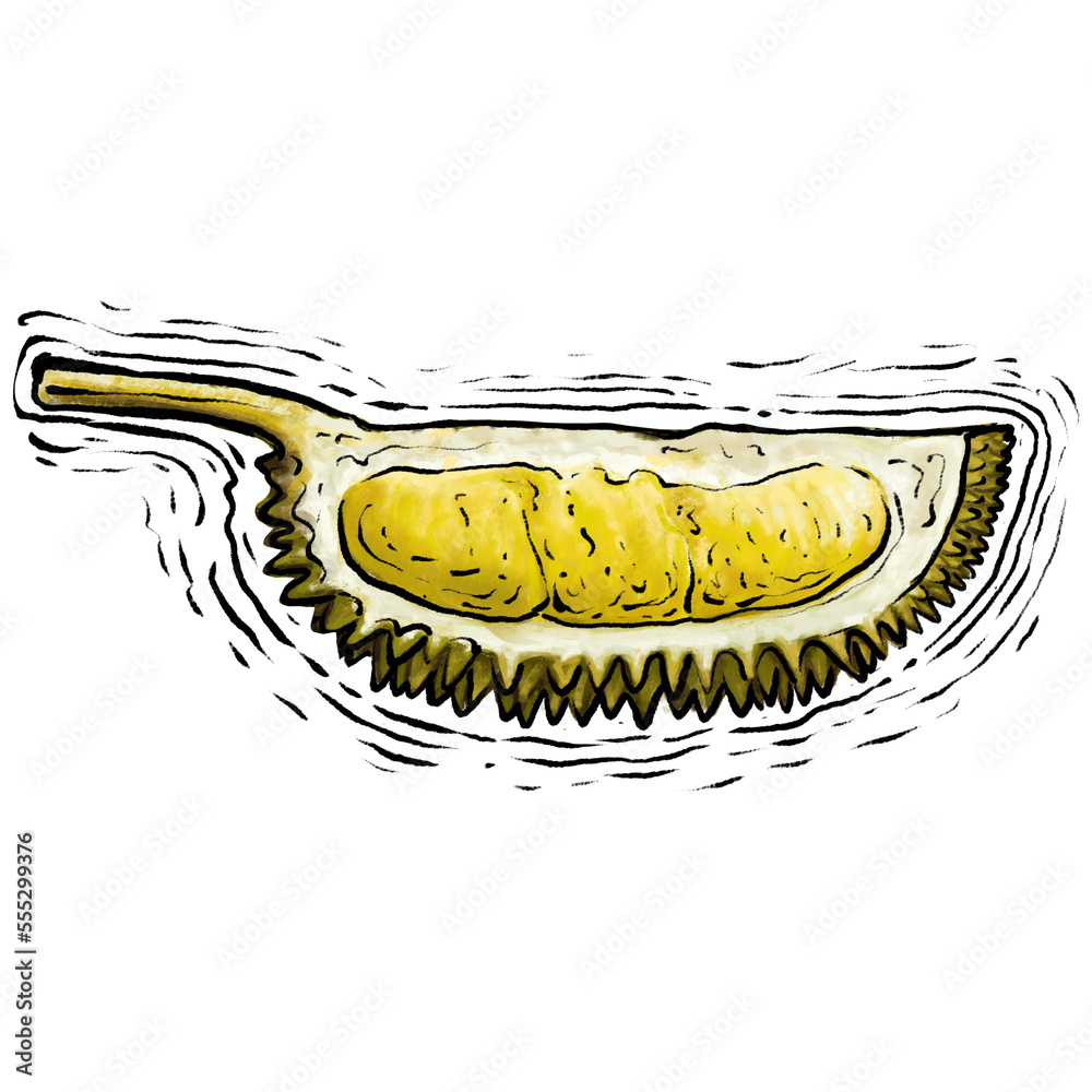 Durian fruit drawing illustration Stock Illustration | Adobe Stock