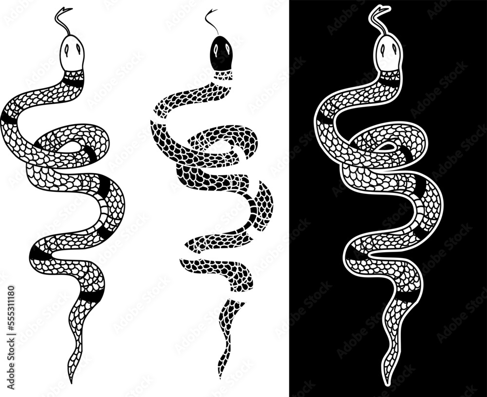 Hand drawn snake vector Illustration isolate on white background.Milk ...