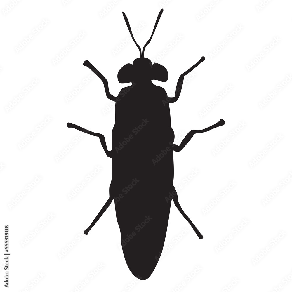 Black Solder Fly larvae asset vector illustration Stock Vector | Adobe ...