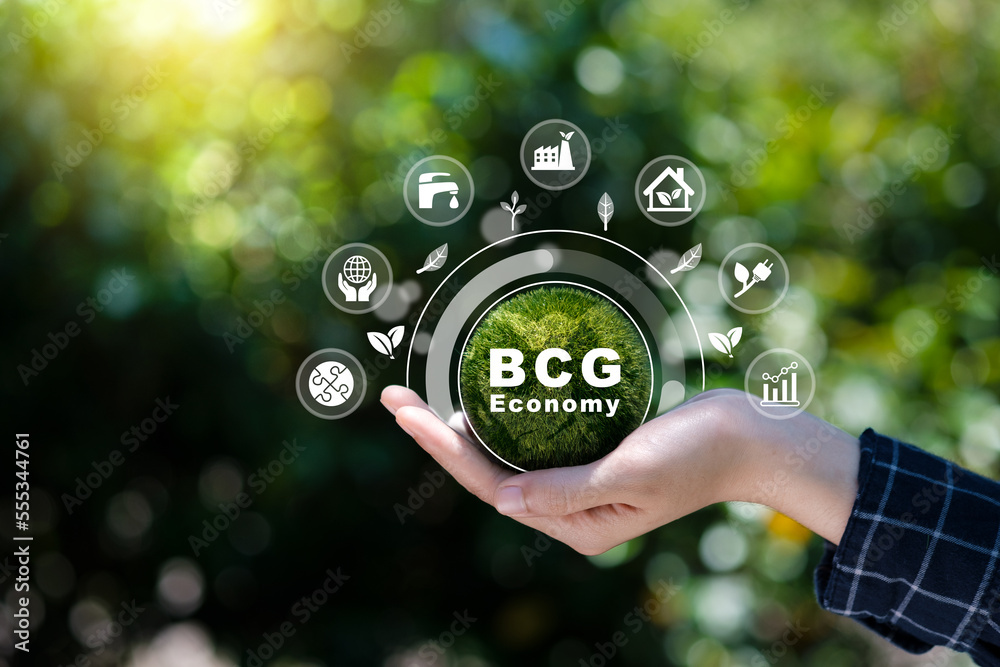 Global Bcg Icon Concept With Teamwork Bio Economy Circle Economy