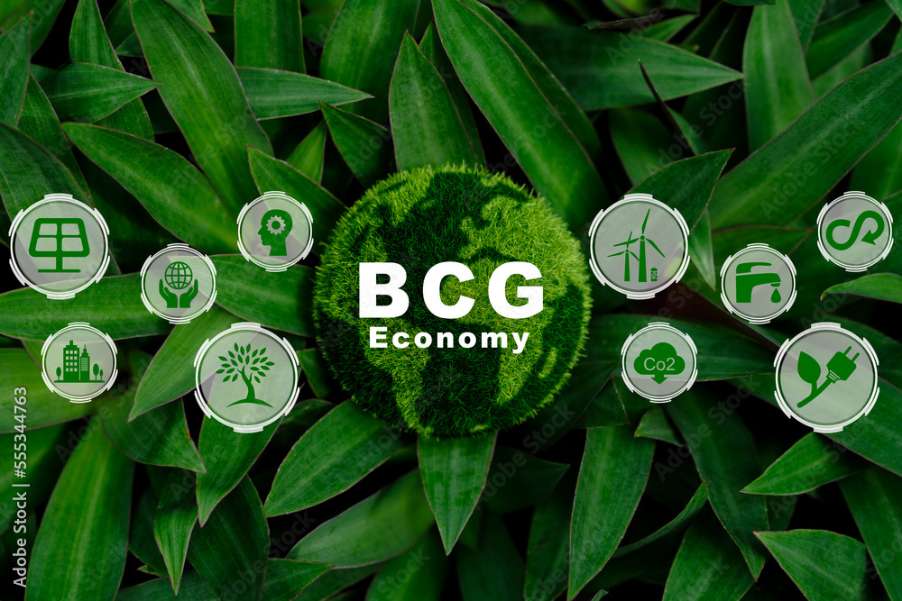 Bio Economy Circle Economy Green Economy Wooden Cube With A Bcg Icon