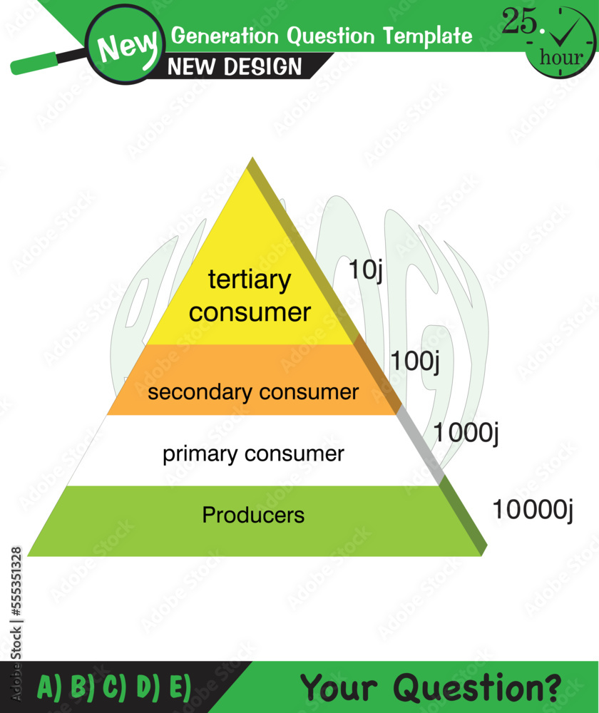 Physics, Vector Illustration of food chain - energy pyramid ...