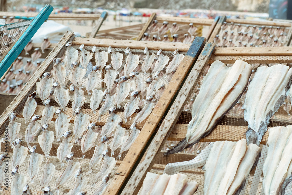 Dried fish in the open air. Traditional seafood drying in the fishing ...