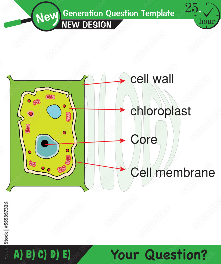 Biology lecture notes, Structure of plant and animal cells, next ...