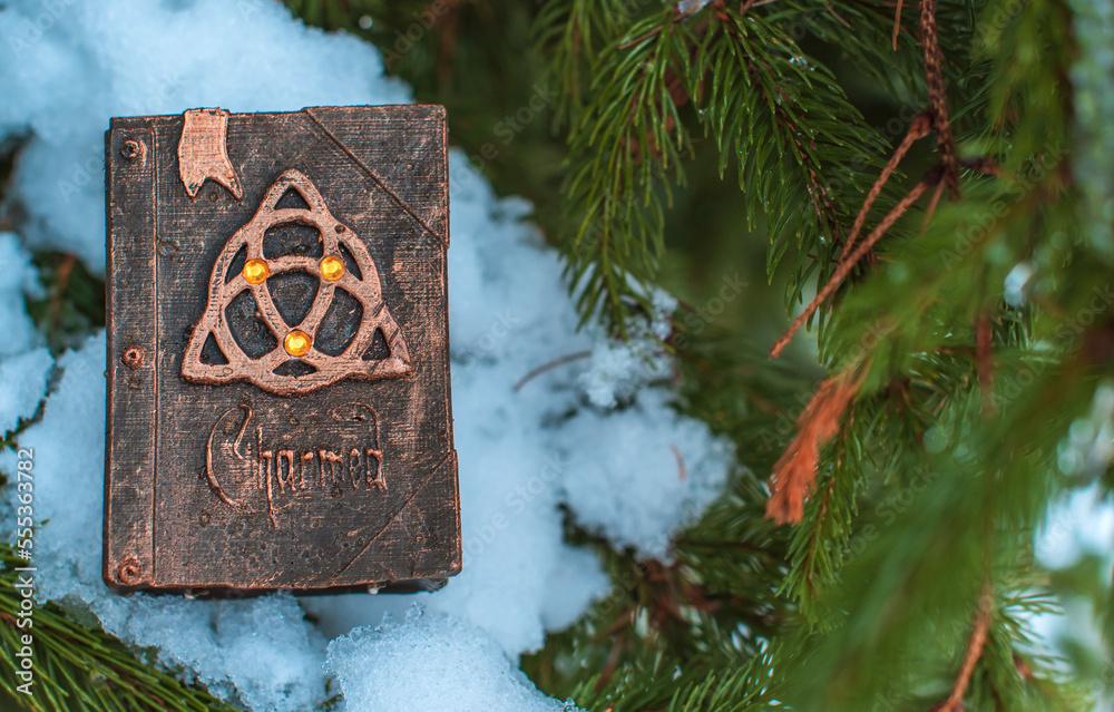 Altar for modern witch. magic candles, wizarding illustration, energy ...