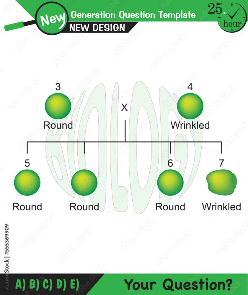 Biology, Heredity Combination, Mendelian genetics, heredity, Peas ...
