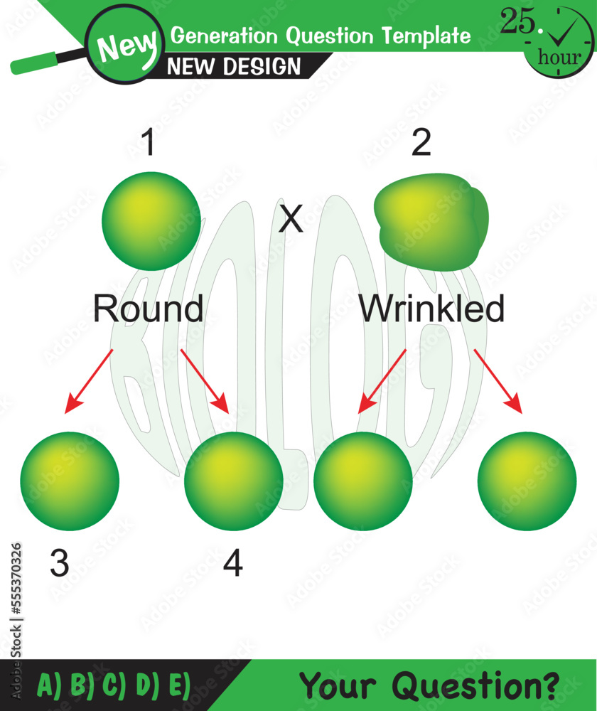 Biology, Heredity Combination, Mendelian genetics, heredity, Peas ...