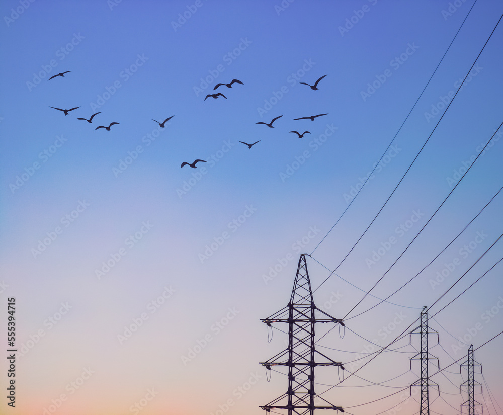 High voltage electricity power line towers against the sky. FLying ...