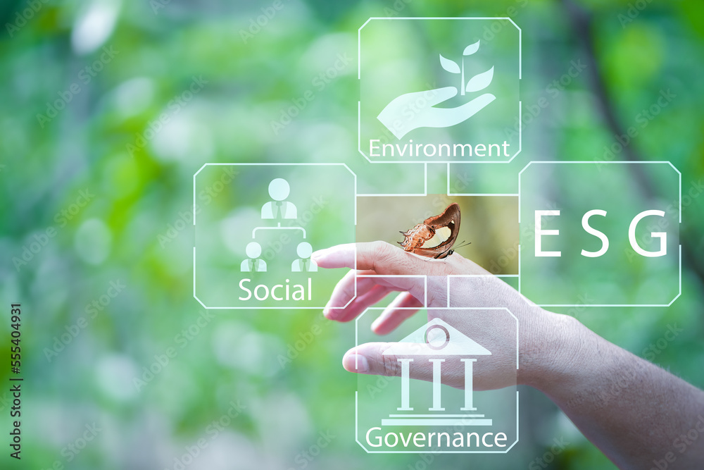 ESG concept of environmental, social, and governance.ESG icon. A ...