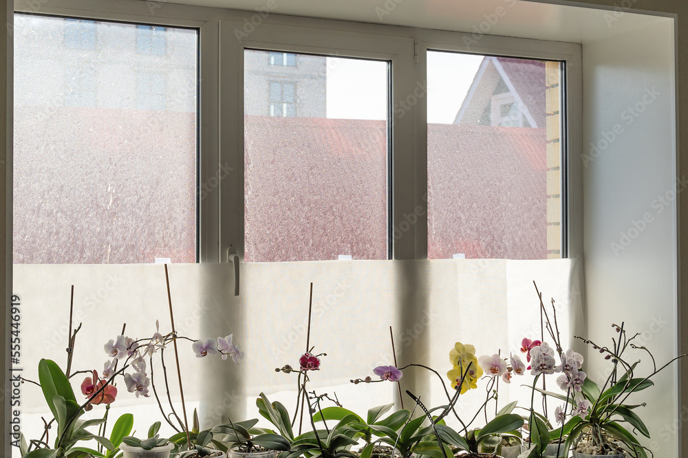 A window in a room with dirty glass with the rays of the morning sun ...