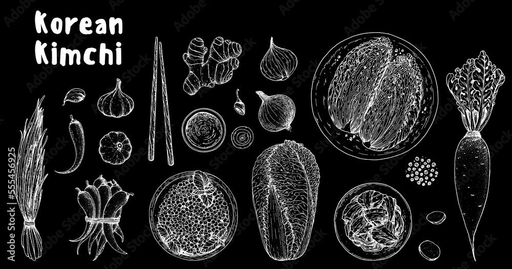 Kimchi cooking and ingredients for kimchi, sketch illustration. Korean ...