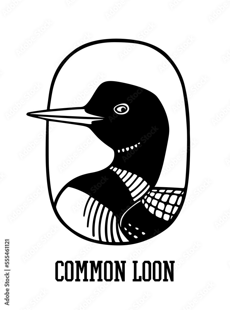 Vector card with hand drawn graceful Common Loon in austere ellipse ...