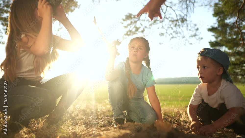 Vidéo Stock group of team children in the forest. a team of young ...