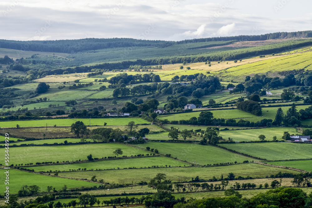 Divided fields of farmland, Causeway Coastal Route, Northern Ireland ...