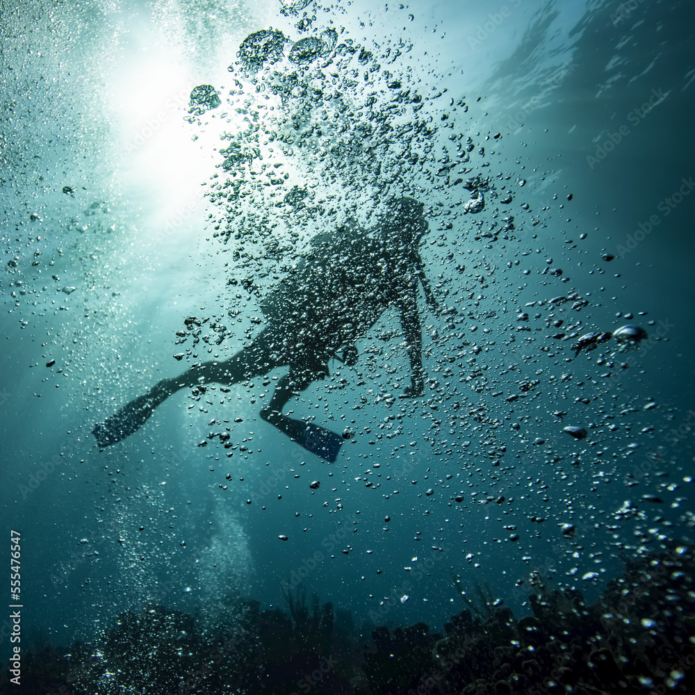 Scuba diver obscured by bubbles underwater at the dive site Blue ...