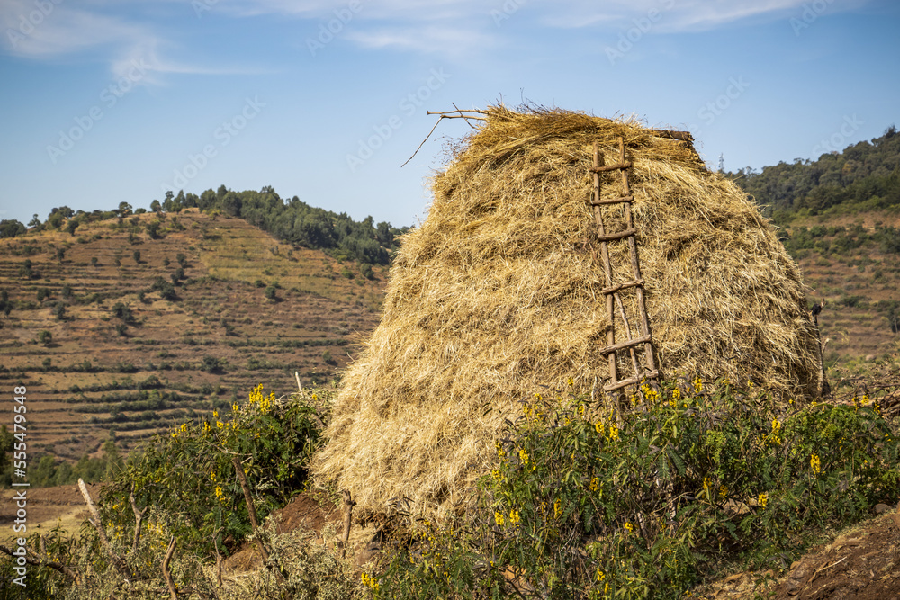 Rocky outcrop covered with straw and a ladder leaning against it; Addis ...