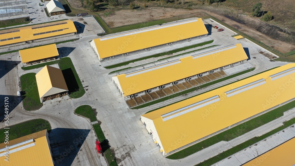 Hangars of a yellow dairy farm: cowsheds, calves, maternity ward ...