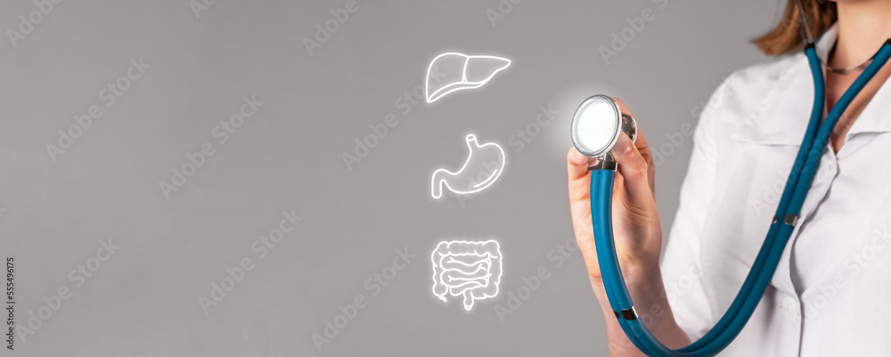 Liver stomach intestine health. Gastroenterologist checking inner ...