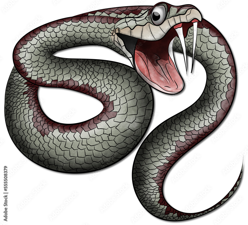 snake drawing on transparent background Stock Illustration | Adobe Stock