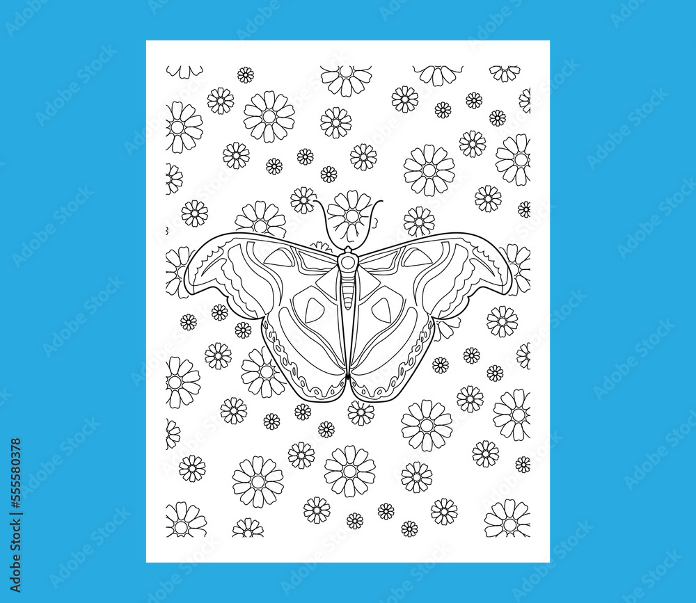 Butterfly coloring page, kdp coloring page Stock Vector | Adobe Stock