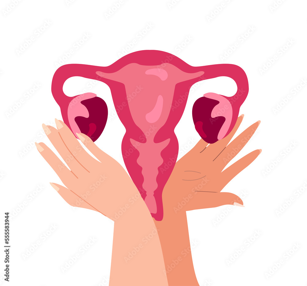 Hands Support Female Reproductive System Womb and Uterus.Care of Female Health.Help in Fertility ...