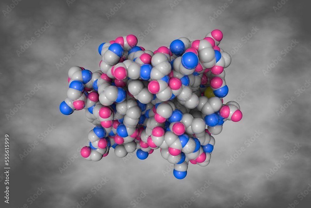 Human brain fatty acid binding protein oleic acid. Space-filling ...