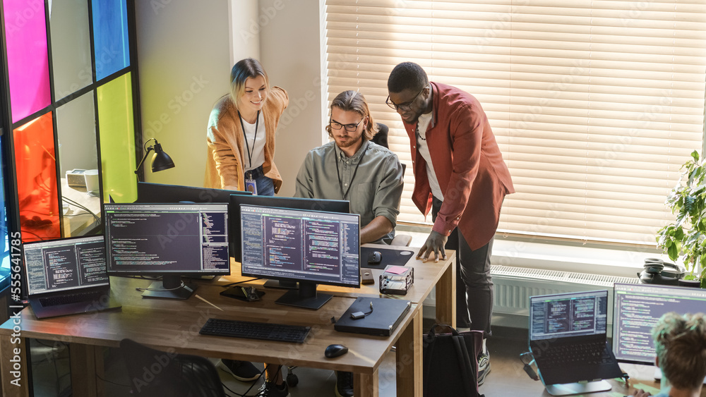 Male CEO and Female CTO Talking to Software Engineer Team Lead In Creative Office Space. Black ...