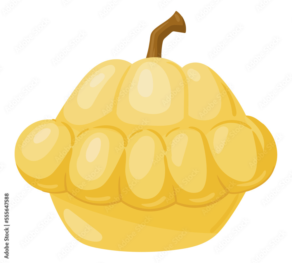 Cartoon squash. Yellow pumpkin vegetable, fresh raw organic vegetable ...