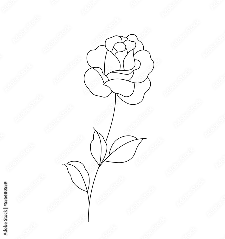 Vector Isolated One Simple Minimal Single Rose Flower With Bud And Leaves Colorless Black And