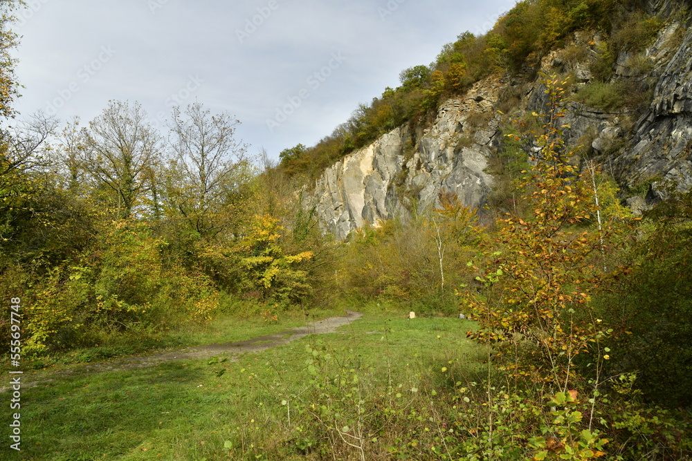 Végétation sauvage sur les parois rocheuses aux contreforts des rochers ...