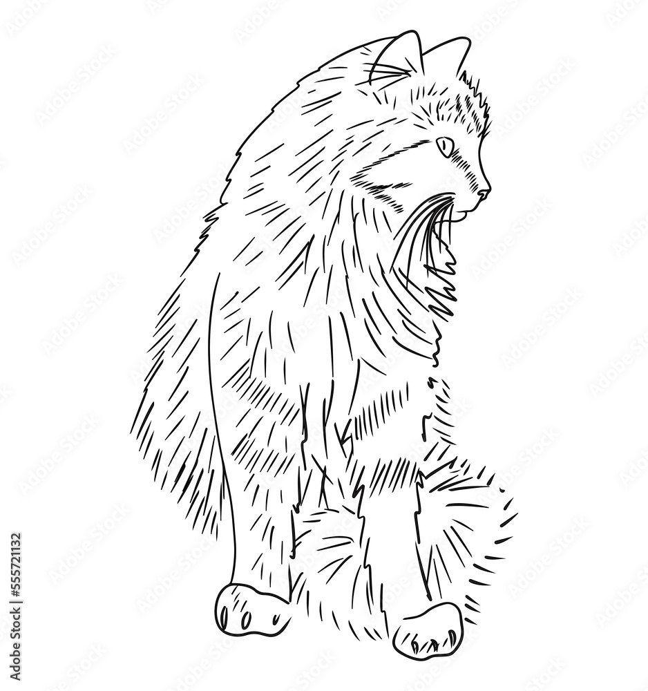 Realistic cat sitting and side looking drawing in black isolated on ...