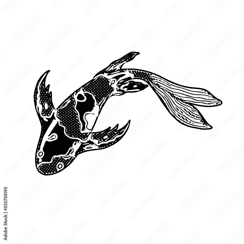 black and white drawing sketch of a koi fish with transparent ...