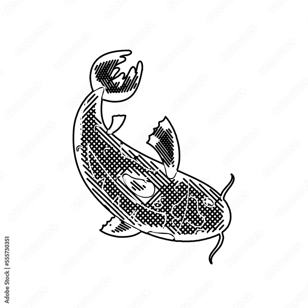 black and white drawing sketch of a koi fish with transparent ...