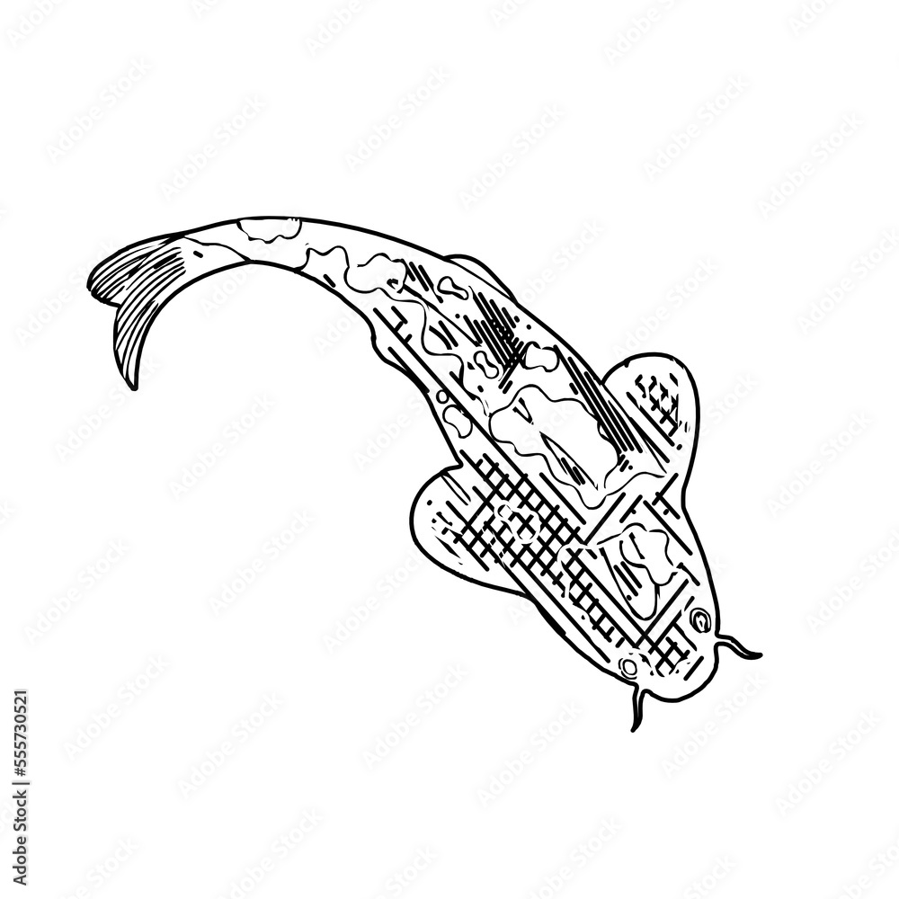 black and white drawing sketch of a koi fish with transparent ...