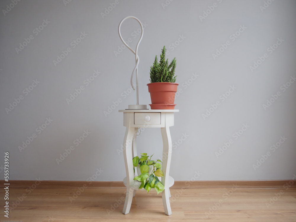 Mesa de madera blanca con lampara moderda de diseñador y plantas ...