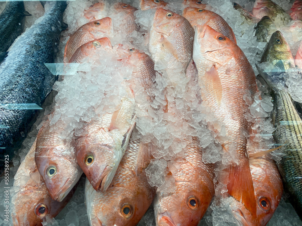Beryx spendens on ice in fish supermarket, alfonsin longfinned beryx ...