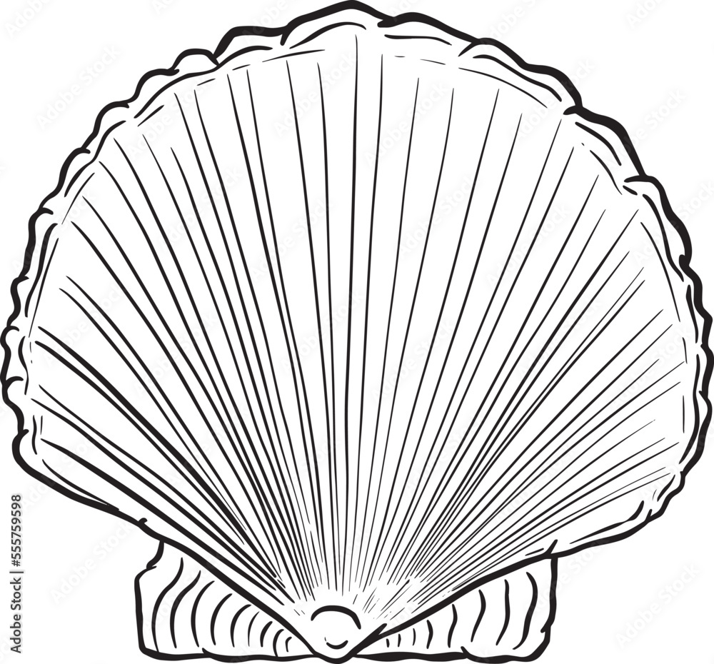 Conch Sea Snail Shell Outline Cartoon Style Logo Design in Vector Stock ...