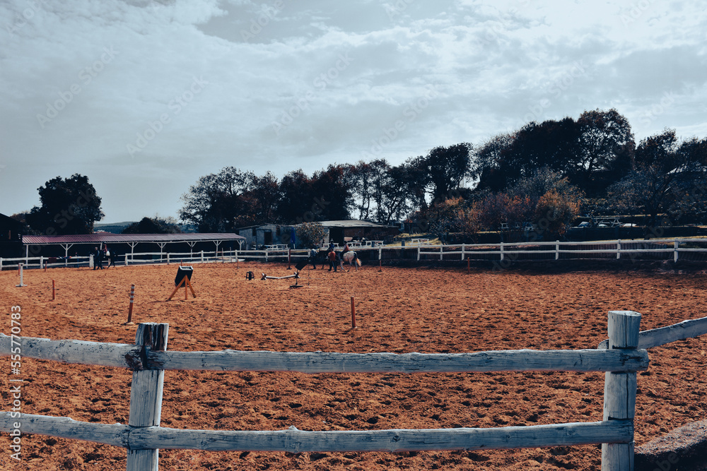 Riding training equipments, a horse, people silhouettes on training ...