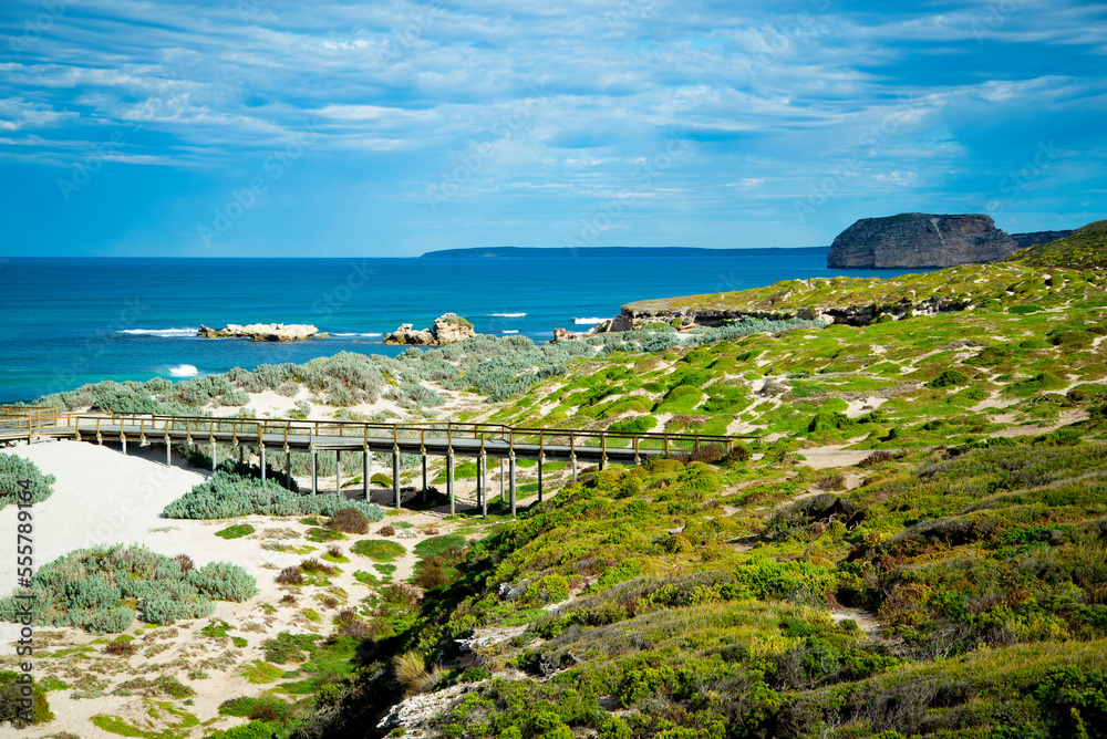 Poster Seal Bay Conservation Park - Kangaroo Island – Wall Art | UkPosters