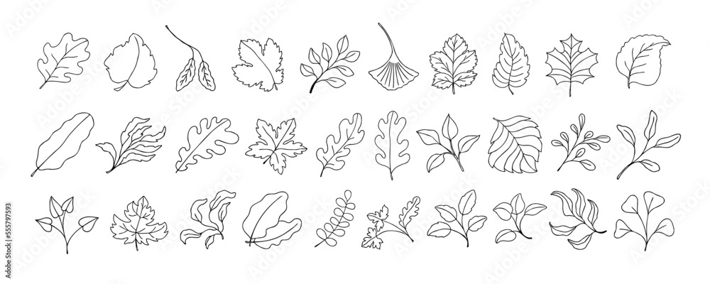 Leaves vector sketch set. Hand drawn decorative elements Stock Vector ...