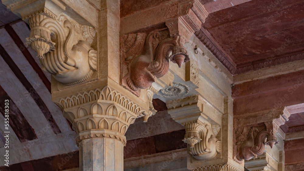 Details of the architecture of the ancient Amber Fort. The columns with ...