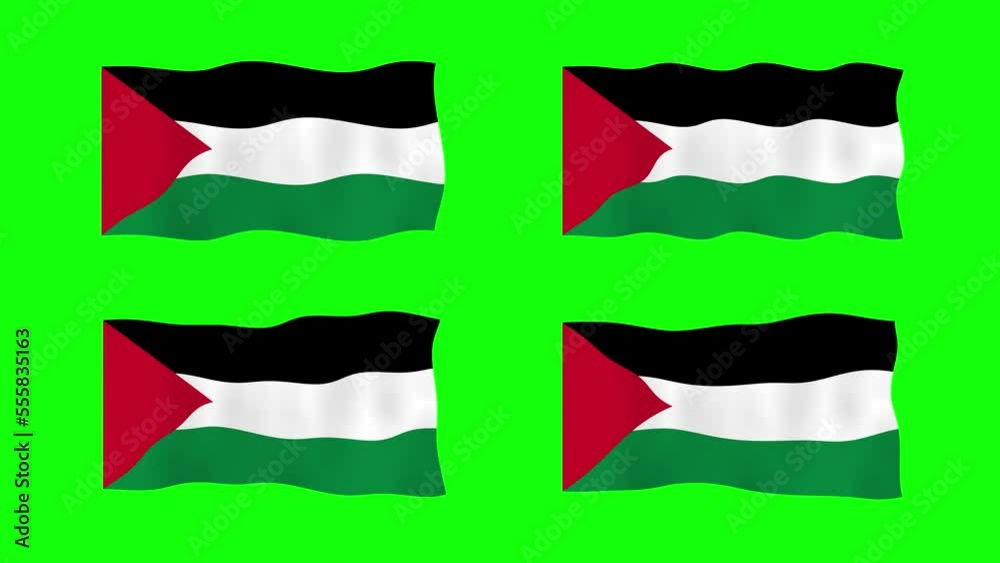 Palestine Waving Flag 2D Animation on Green Screen Background. Looping ...