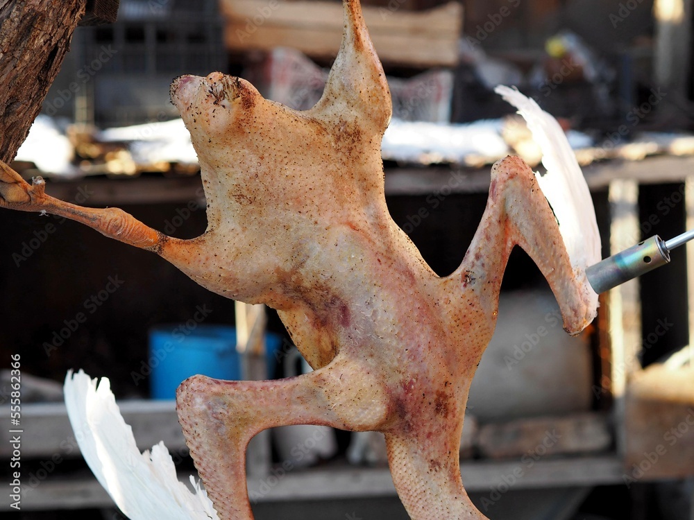 Foto de The process of processing, singeing the goose with fire after ...