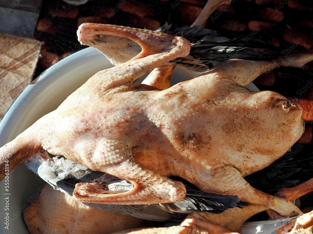 The process of processing, singeing the goose with fire after removing ...