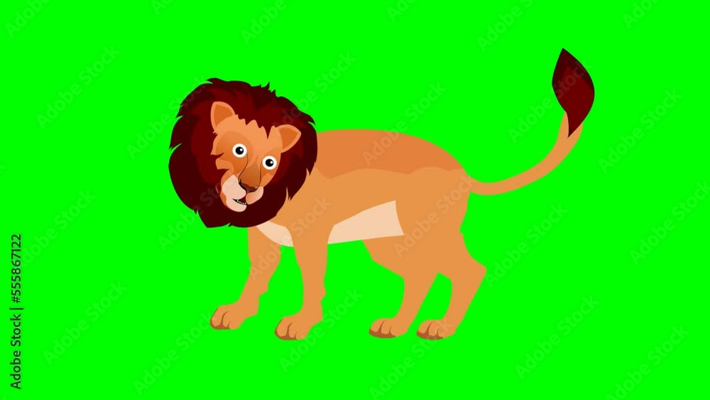 Lion 2d animation green screen Stock Video | Adobe Stock