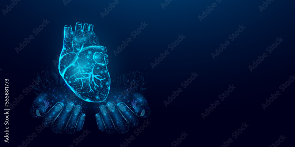 Two human hands are holds heart. Wireframe glowing low poly heart ...