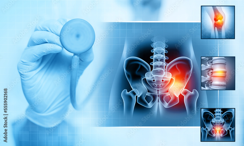 Orthopaedist checks and diagnose the bones of the pelvis and hip, femur ...